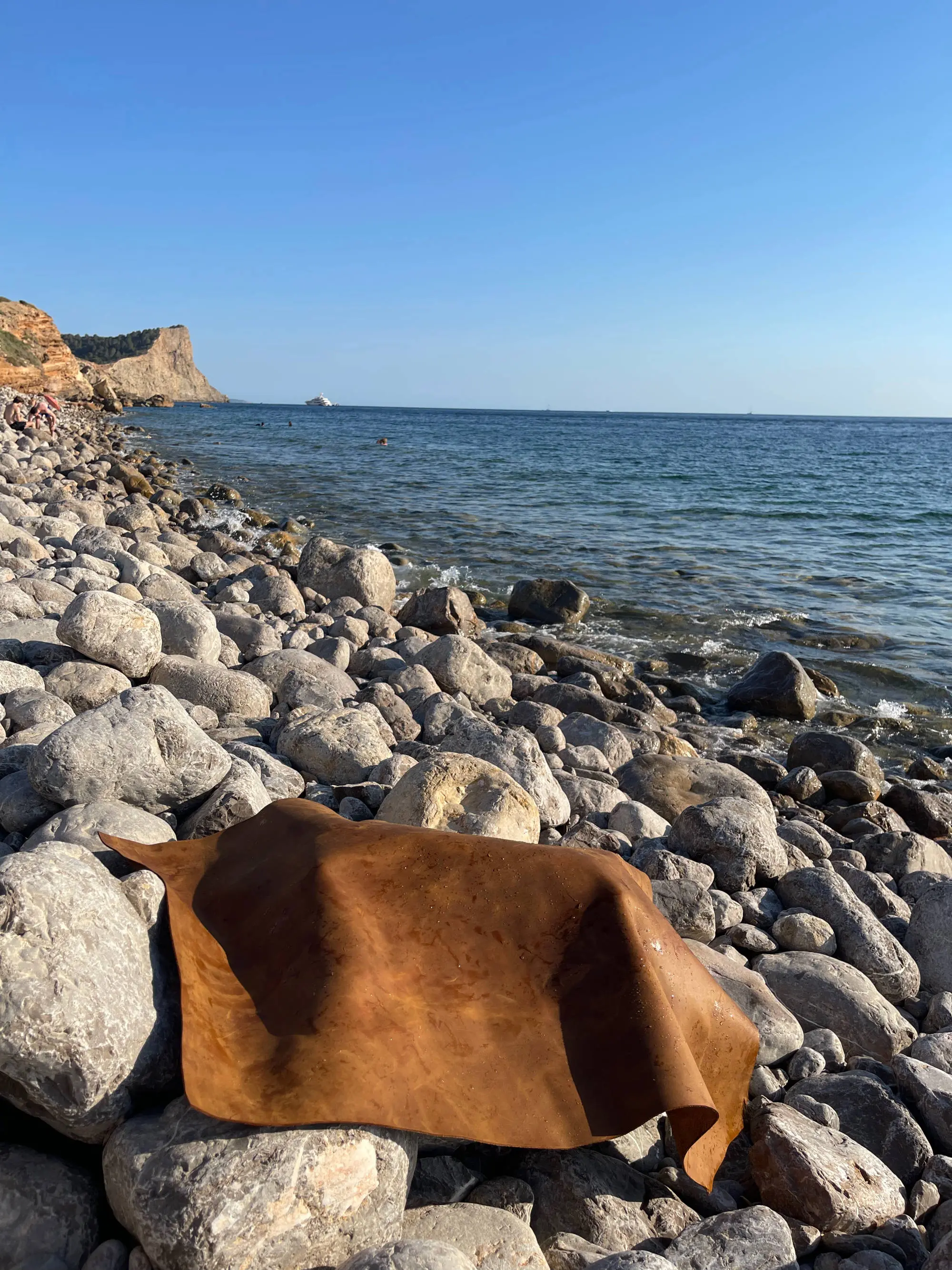 Strap Cap des Falco Limited Edition